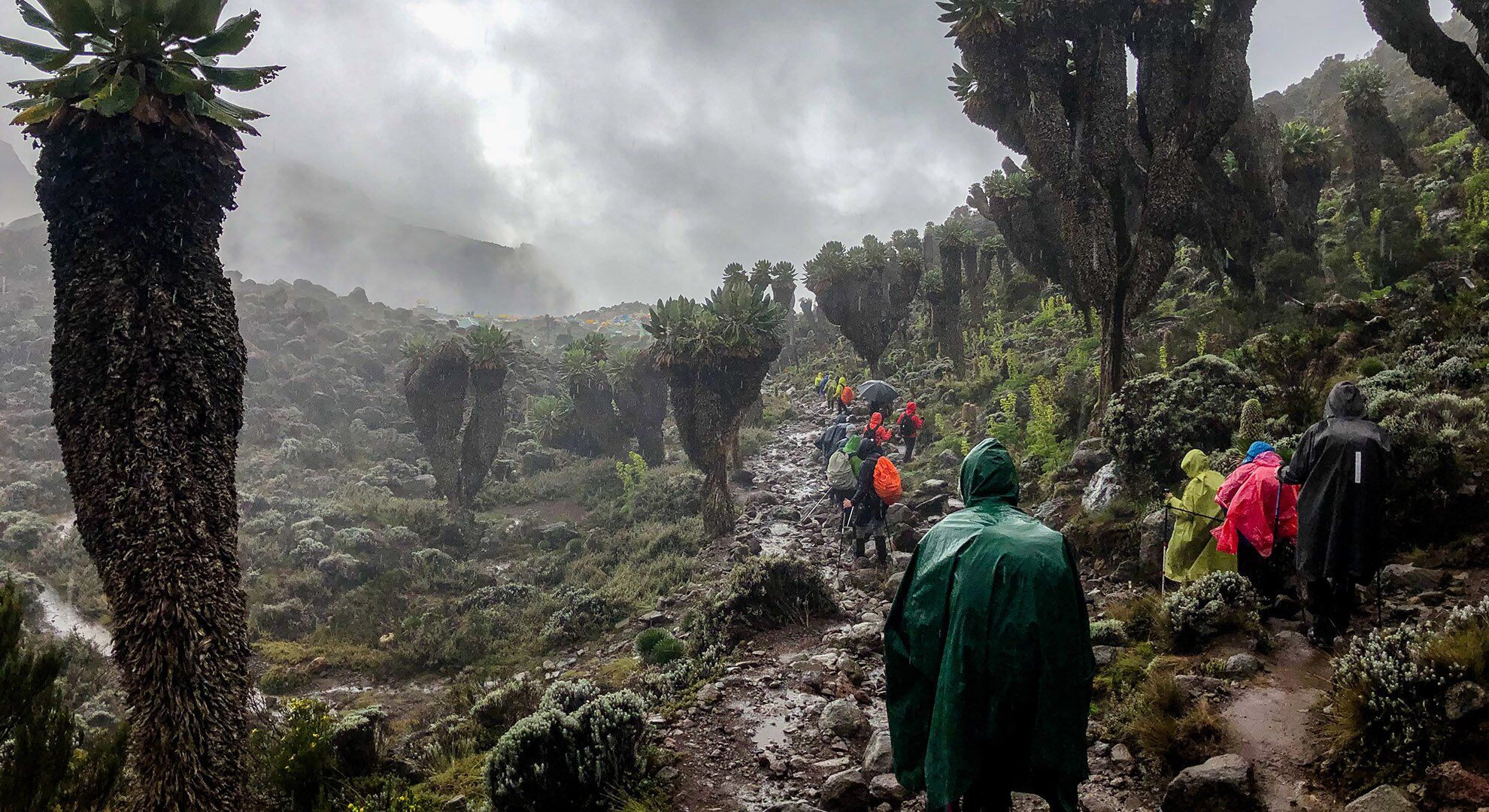 Machame Route 6-Day Trek- Mt Kilimanjaro | Eastco
