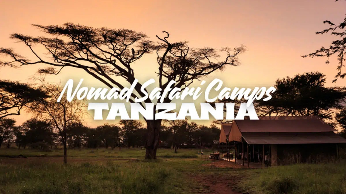 Nomad Safari Camps Tanzania: Mobile Wilderness Adventure